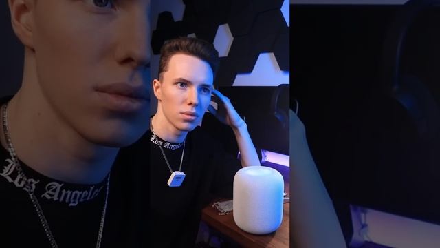 Кто умнее: Siri или Алиса? Проверяем