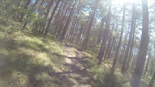 велоспорт - Крым, Ай-Петри, Downhill трасса "Ягодка"
