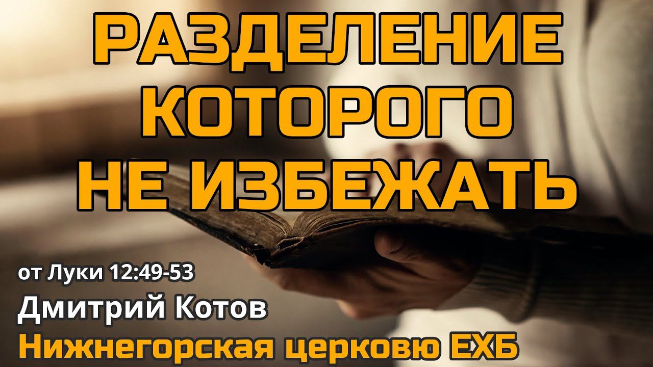 Разделение, которого не избежать (Дмитрий Котов)
