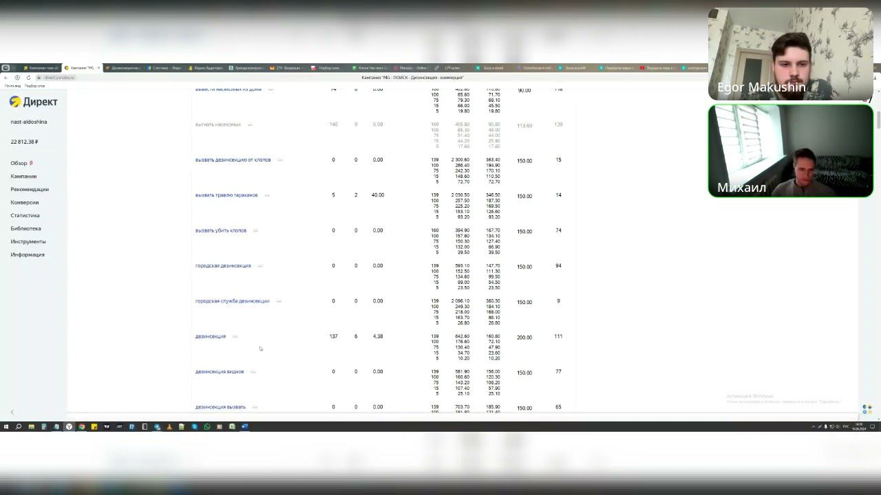 Аудит Яндекс Директ L7, Аудит рекламы - Дезинсекция насекомых