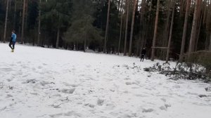 27 марта игра лес 2022 (1 тайм )