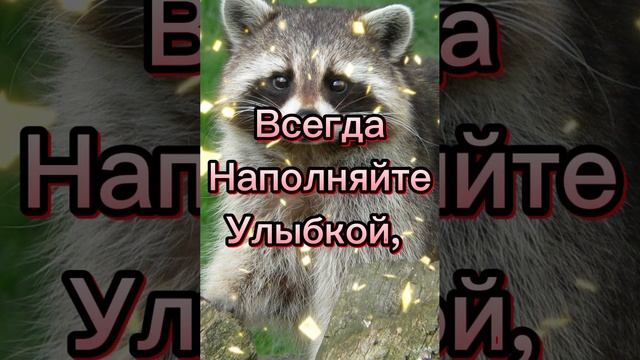 Хорошего дня