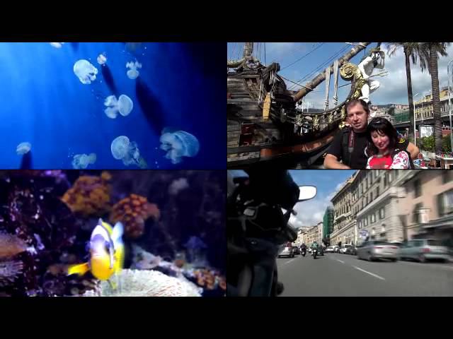 4 видео на одном экране - Vegas pro