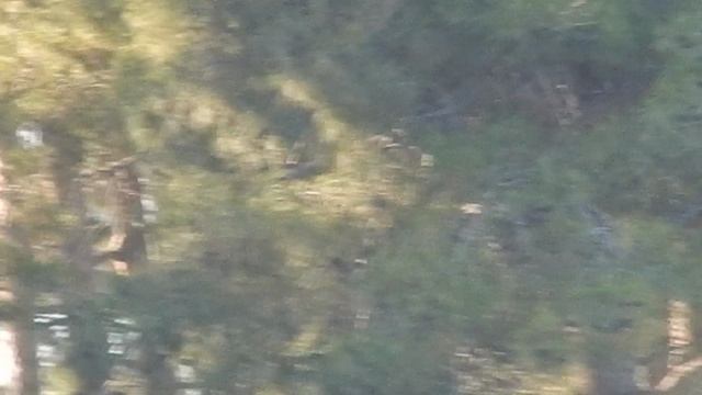 DSCN3771