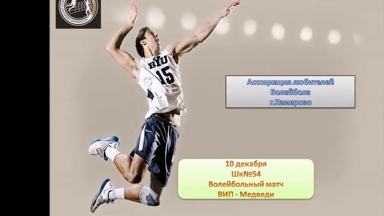 VIP - Медведи 1 партия