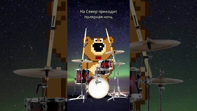 Мишка и полярная ночь