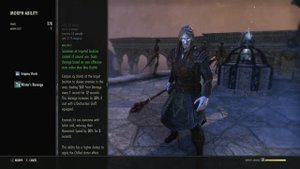 ESO Warden Class Guide