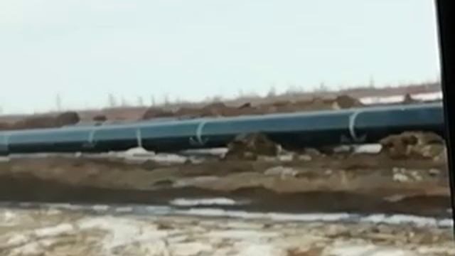 КОПАТЬ ЛЁД..? - DIG ICE..? ?️