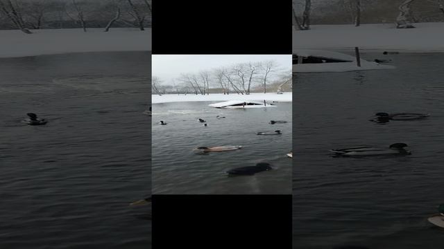 1000033897.mp4