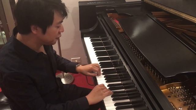 01 - Lang Lang Lesson 1.mp4