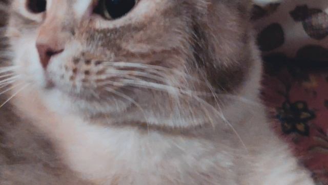 VID_20230201_205542