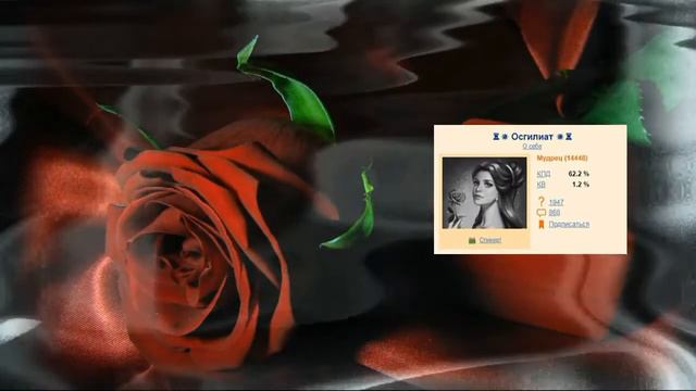 Девчонкам томского юмора