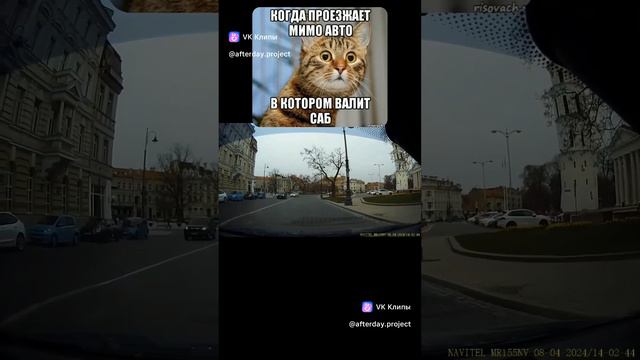 Валит саб в мимо авто ))