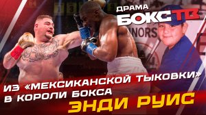 Энди Руис /лишние килограммы / вечеринки после победы над Джошуа / работа с тренером Канело