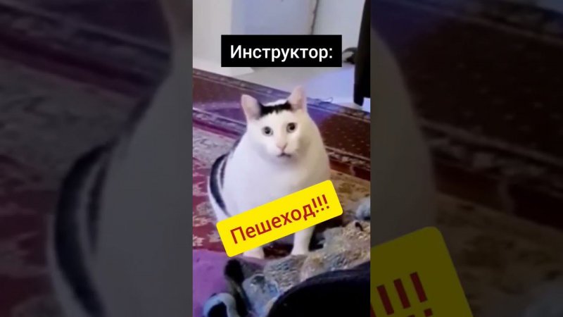 Я на вождении  #автоинструктор #урокивождения #жиза #прикол #пдд #автошкола #экзаменповождению
