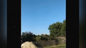 Лучшие приколы 2023