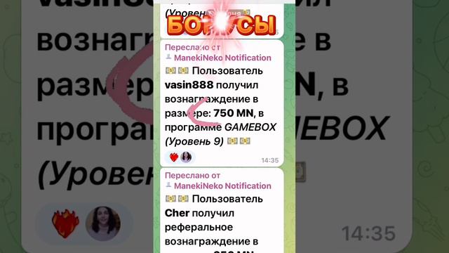 Хомяк отдыхает. Игра Котейка. Camebox