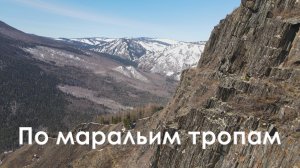 По маральим тропам