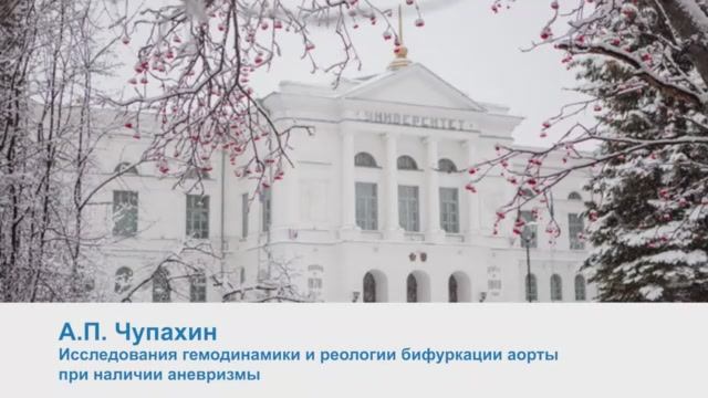 А.П. Чупахин Исследование гемодинамики и реологии бифуркации аорты при наличии аневризмы