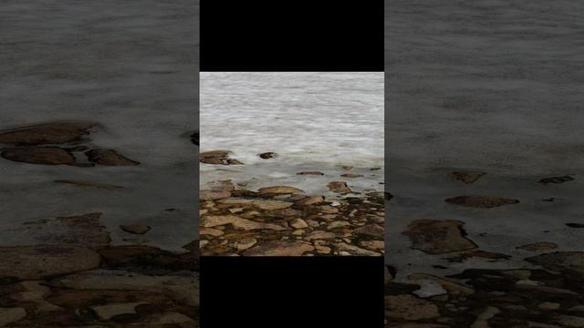 20220730_123206.mp4