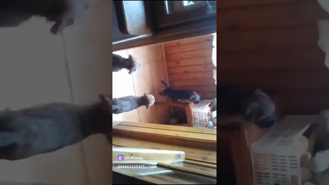 Семейные ценности