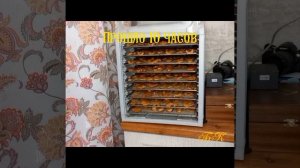 заготавливаем яблоки для кроликов