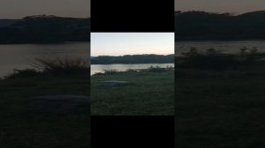 Общительная кошечка возле Старой плотины