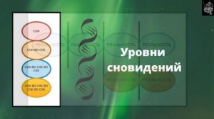 Высшая Магия. Вселенная возможностей
