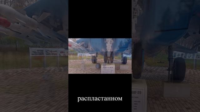 Истребитель МИГ-29 shorts