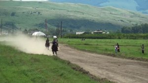Беговые испытания племенных лошадей на беговой дорожке АО Племзавода "Краснотуранский"