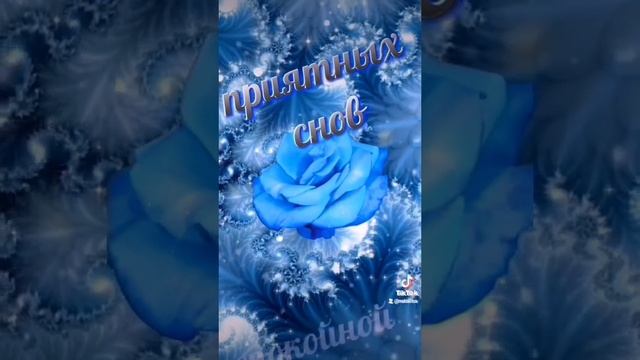 Спокойной ночи