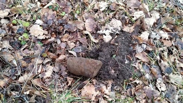 Разведка поля возле дома. Осенний коп металла. Часть 2