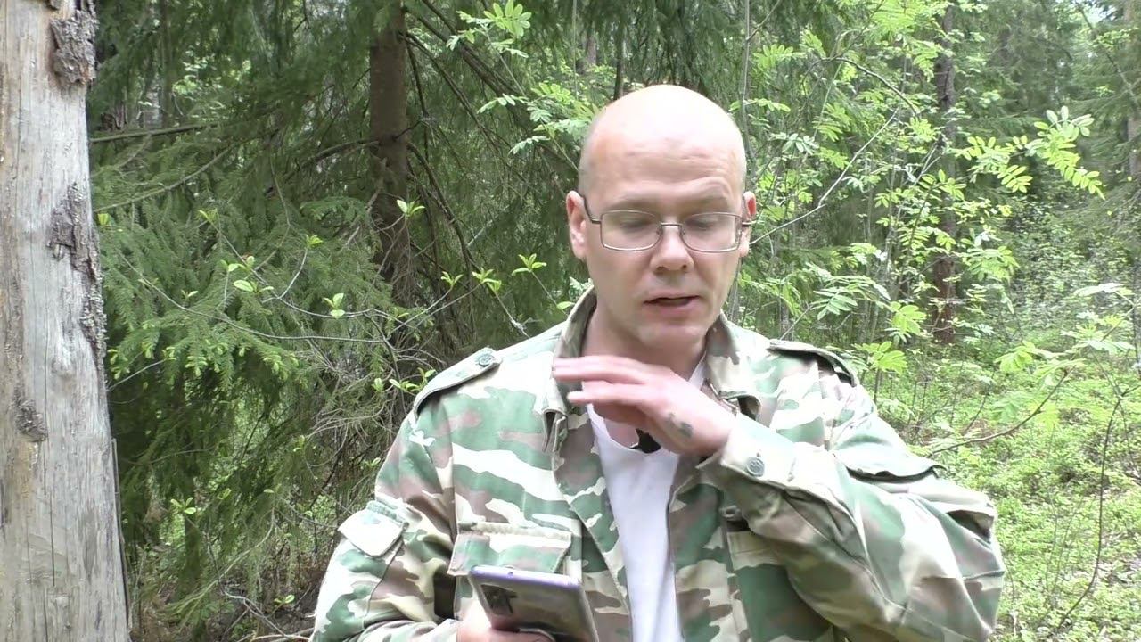 Времена года. Июнь