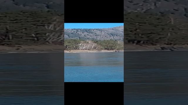 цивилизация в кавычках.mp4