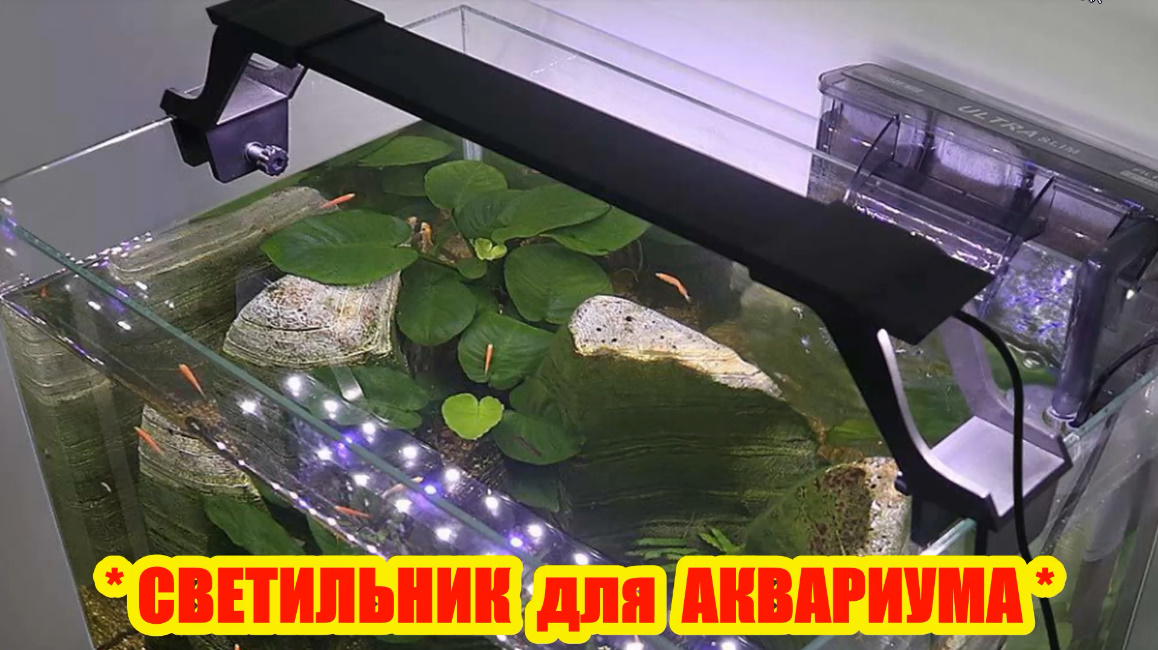 для АКВАРИУМА для ТЕРРАРИУМА
