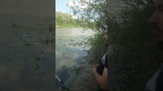ПРИРОДА / ВЫХОДНЫЕ НА РЫБАЛКЕ
