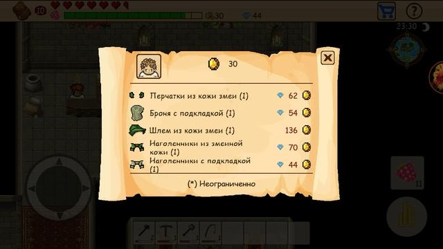 Survival RPG: Открытый мир 2D.#4