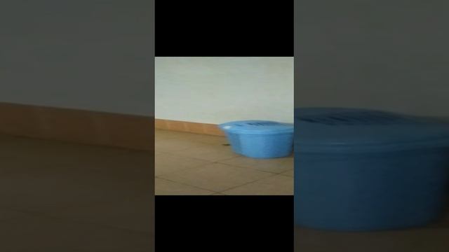 Показ Домика, дворов  для отдыхающих у Каспийского моря. Дербент. 2
