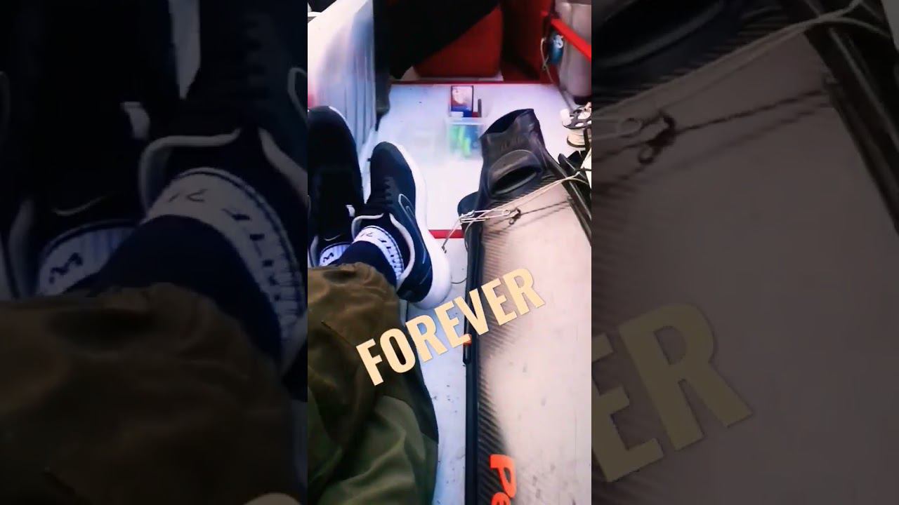 15 июня 2023 г.