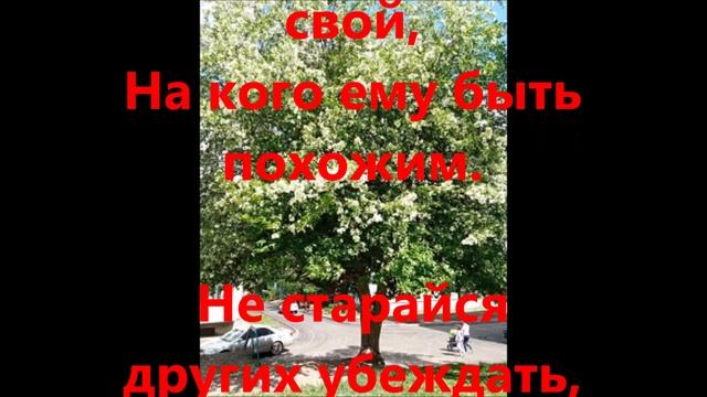 Стихи о жизни. Душа поёт.