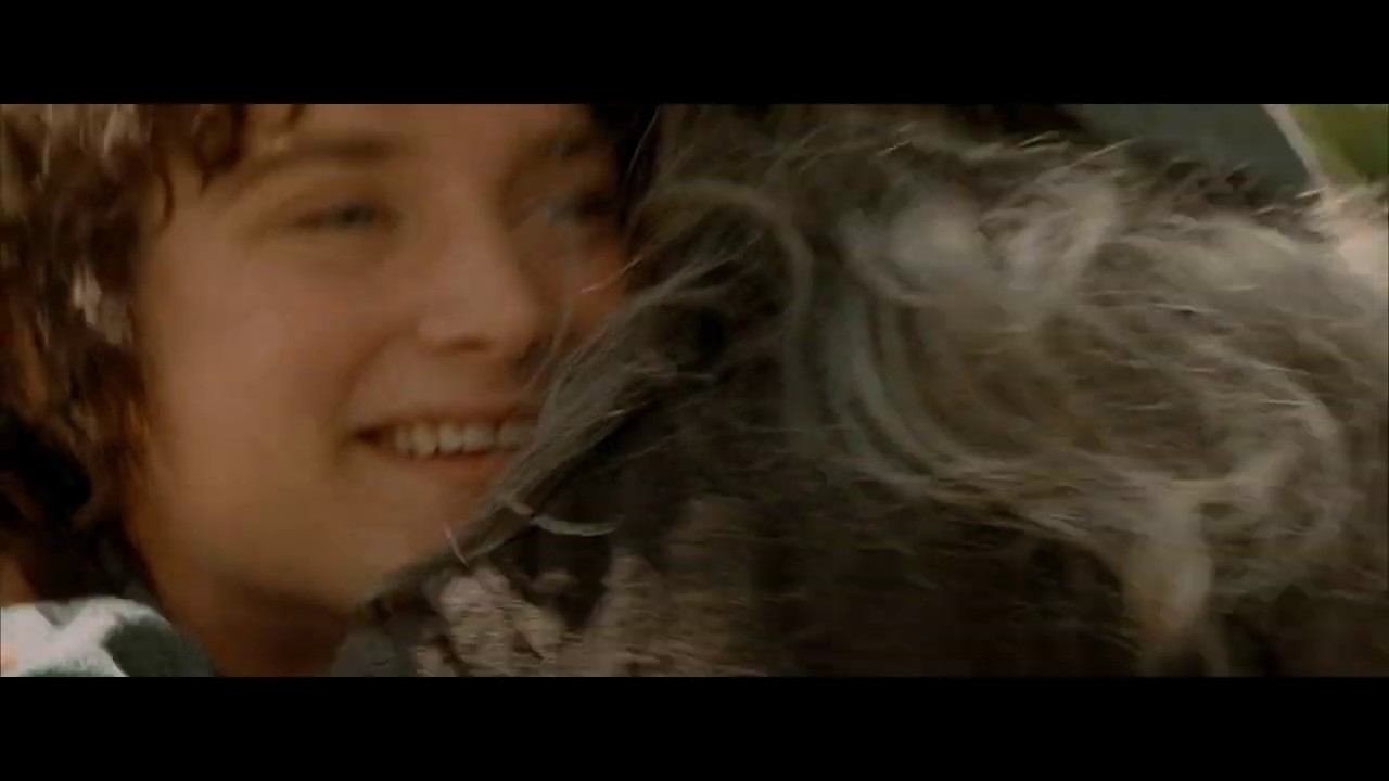 Клип по Властелину Колец (The Lord of the Rings)