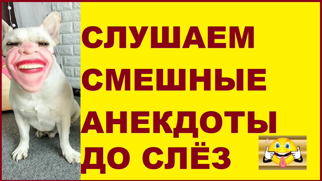 Анекдоты смешные до слёз! Пожилой мужик в баре! Прикольный юмор! Смех да и только