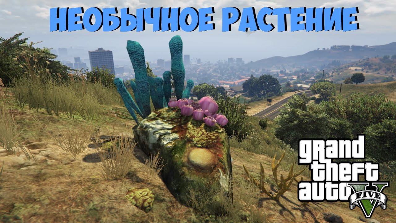 Пасхалки GTA 5 ★ Необычное растение у обсерватории