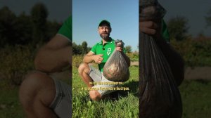 Бесплатное удобрение – под вашими ногами! Как получить компост из обычных листьев