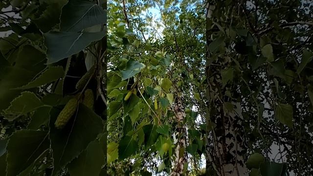 Хорошее настроение