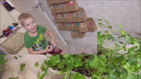 Эустома радует! Сюрприз для внуков!!!