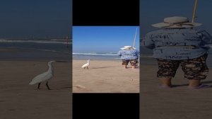 20230726_075655.mp4