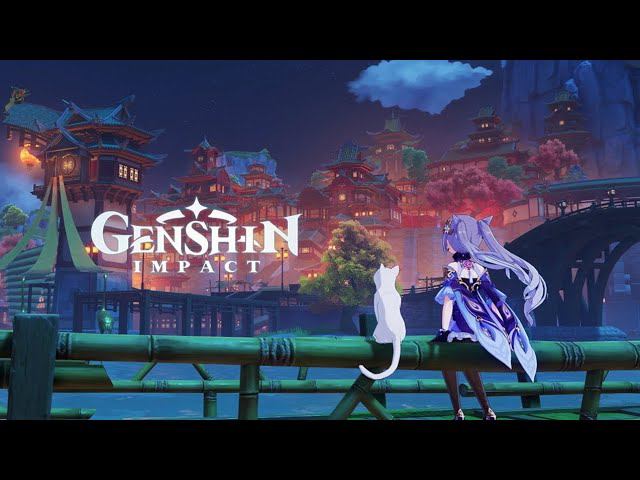 Genshin Impact #3