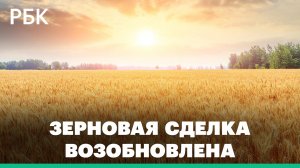 Россия вернулась в зерновую сделку спустя четыре дня после письменных гарантий Украины