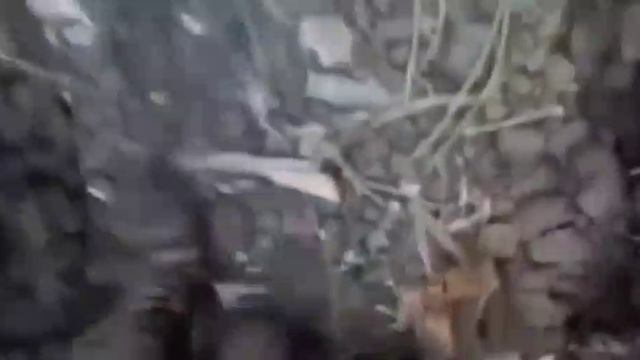 странная мова у этих солдат ВСУ.#shorts#